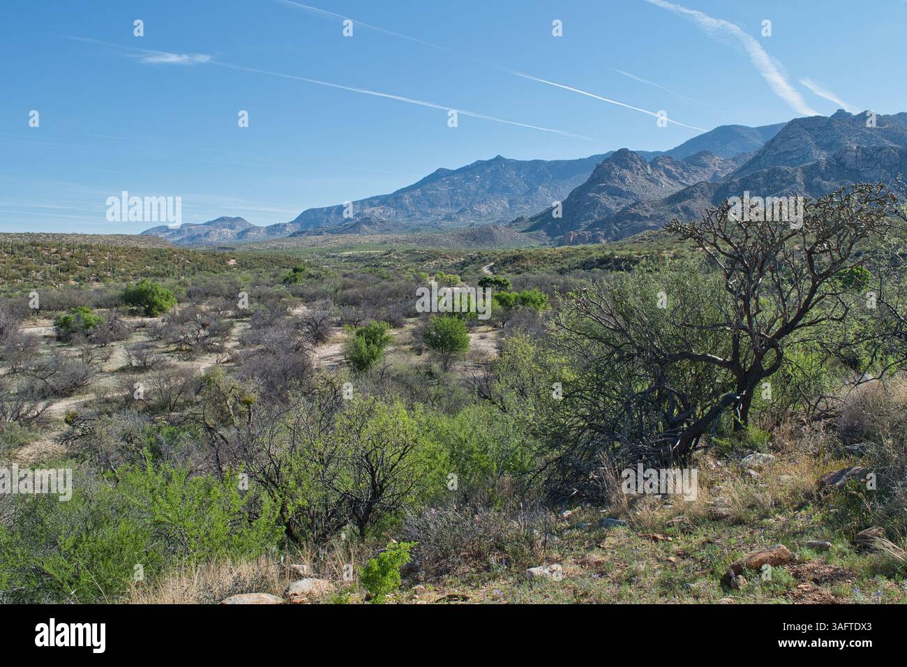Within Catalina Regional Park outside Tucson, Arizona is a main north ...