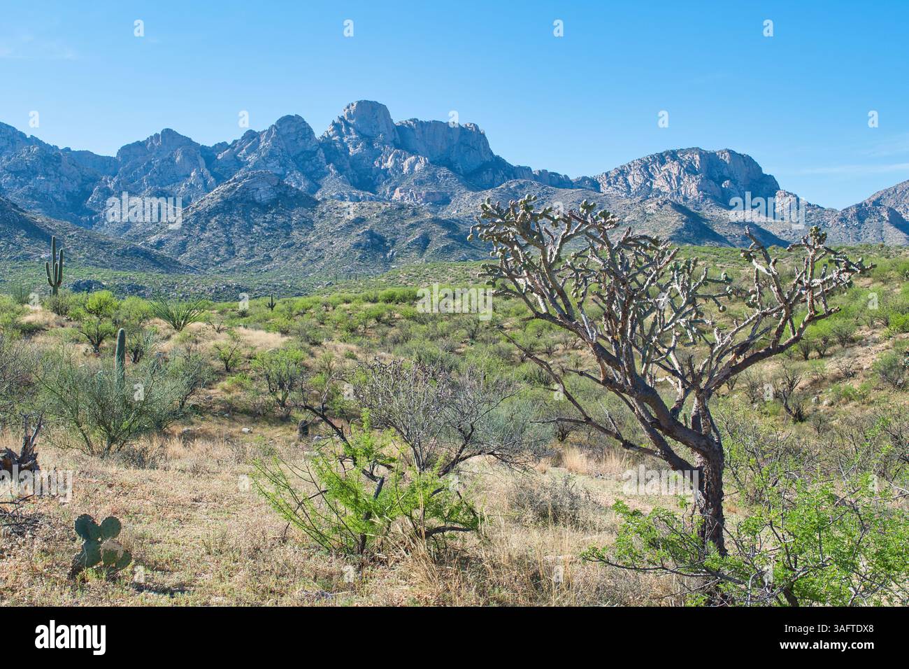 Within Catalina Regional Park outside Tucson, Arizona is a main north ...
