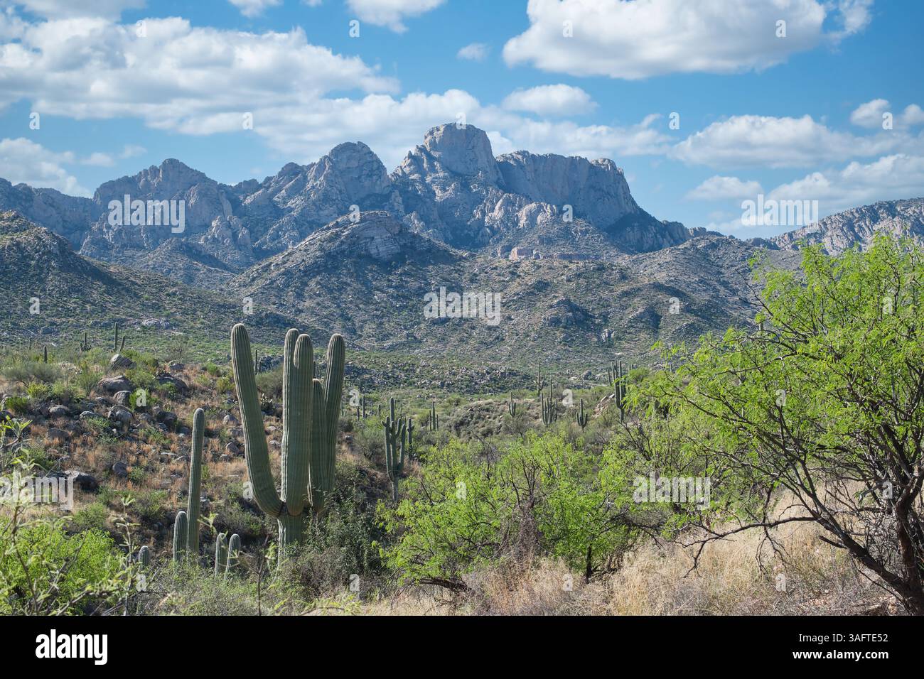 Within Catalina Regional Park outside Tucson, Arizona is a main north ...