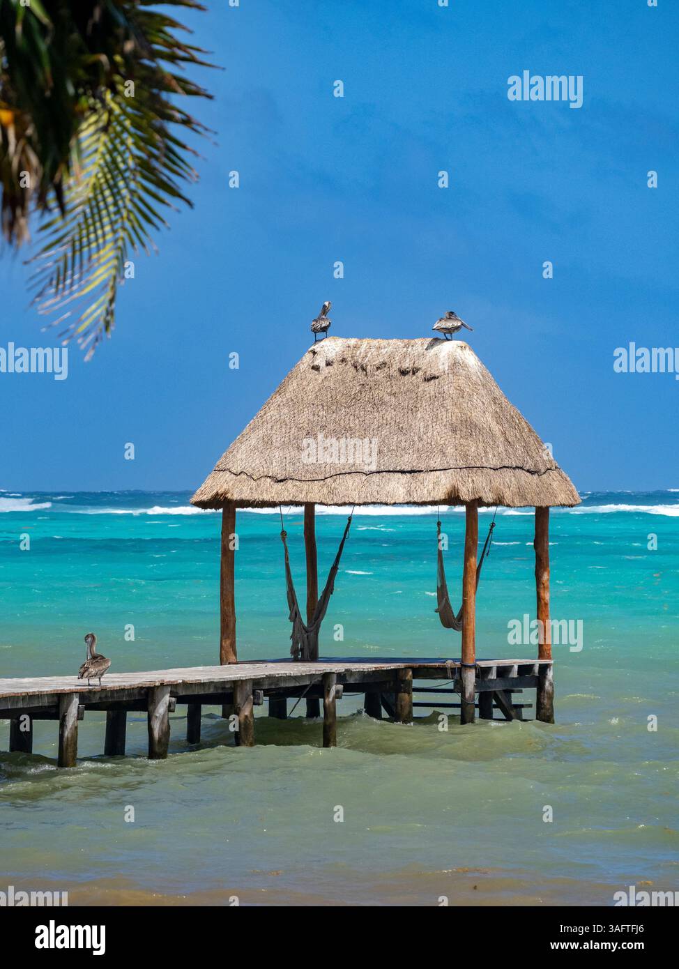 Tankah tulum quintana roo mexico hi-res stock photography and images ...