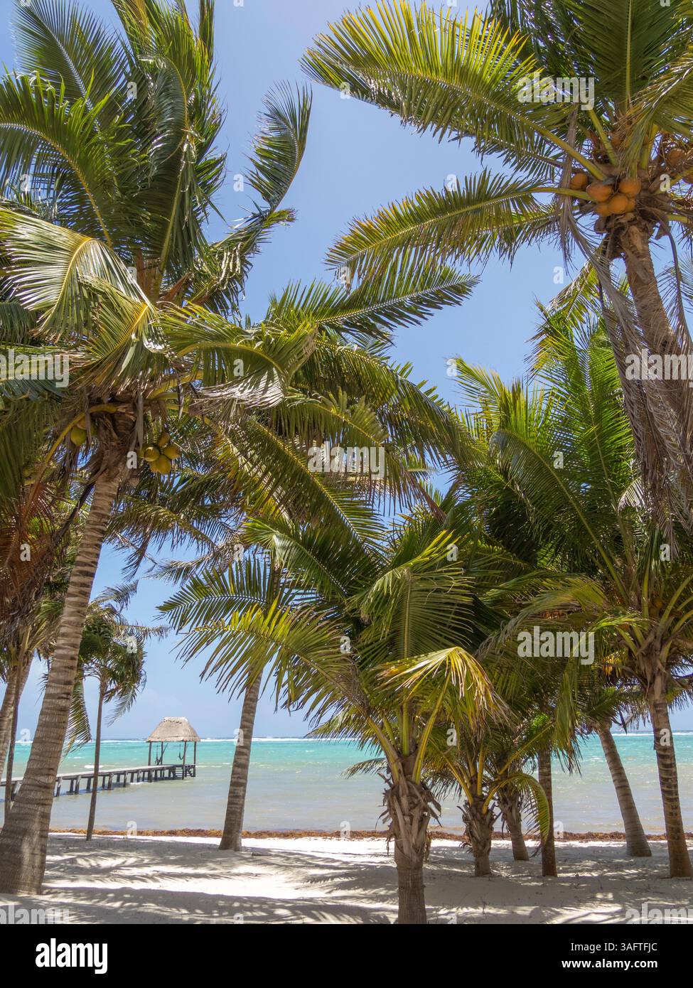 Palapa hut with thatched roof over caribbean sea hi-res stock ...