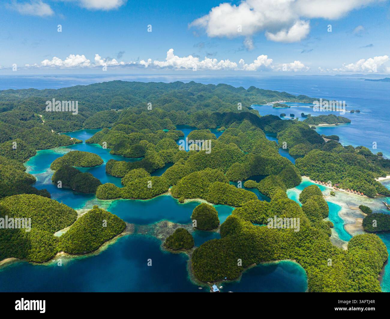Beautiful tropical island with lagoons. Rainforest under clear blue sky ...