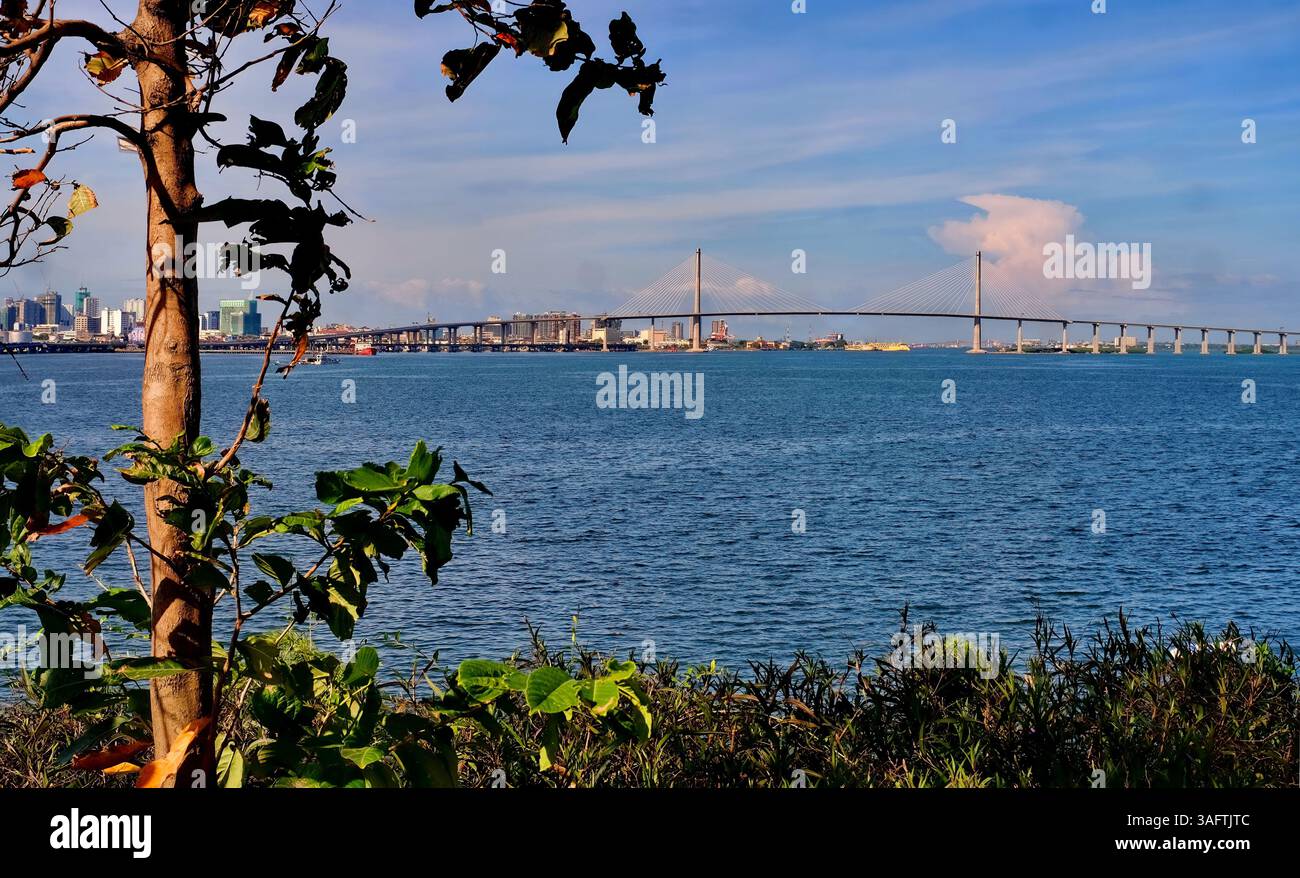The Cebu-Cordova Link Expressway cable-stayed bridge, as viewed from ...