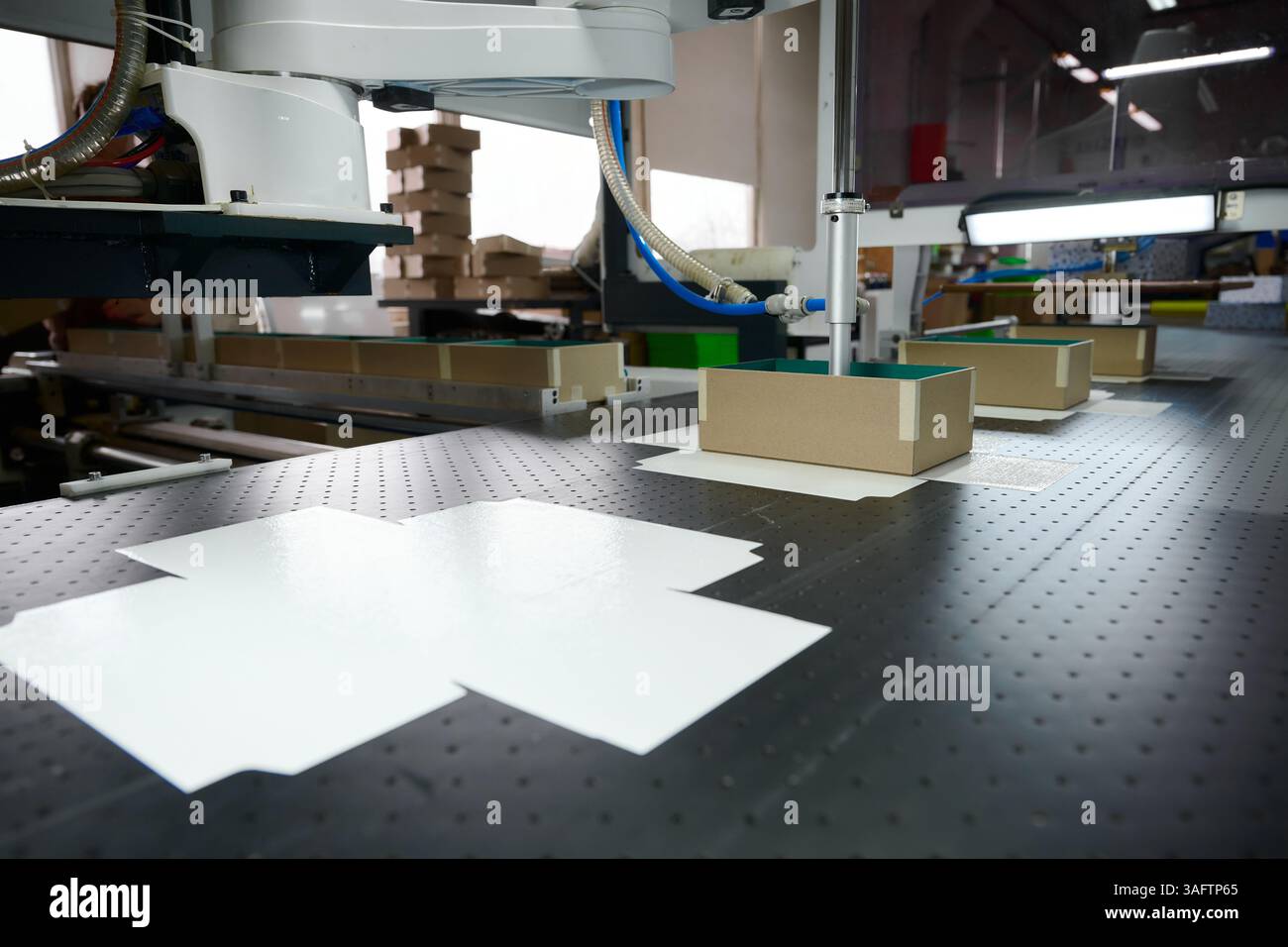 Innovative techniques in cardboard box production at a decorative ...