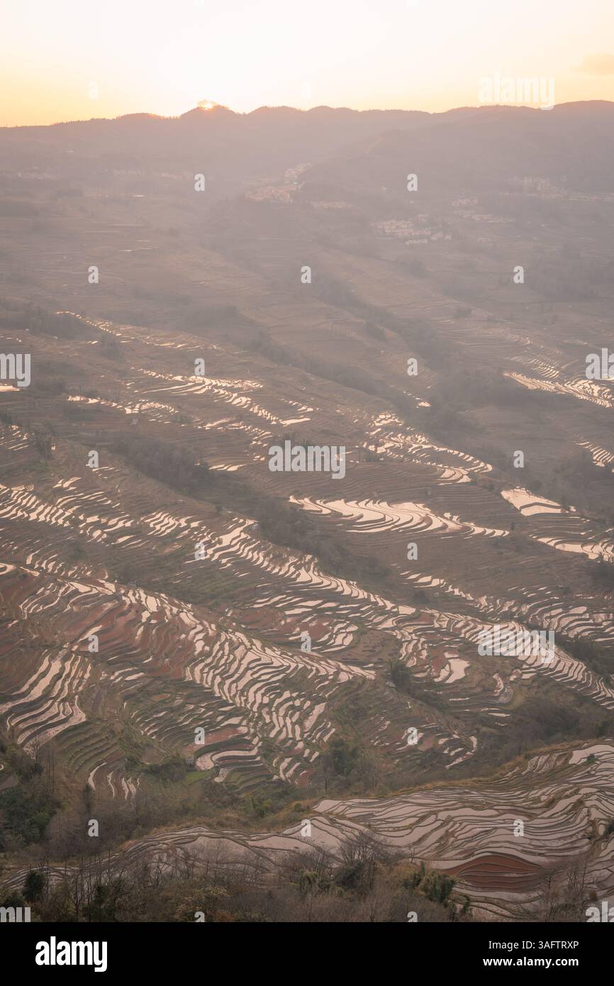 Vertical image of beautiful setting sun light above Bada Rice terraces ...