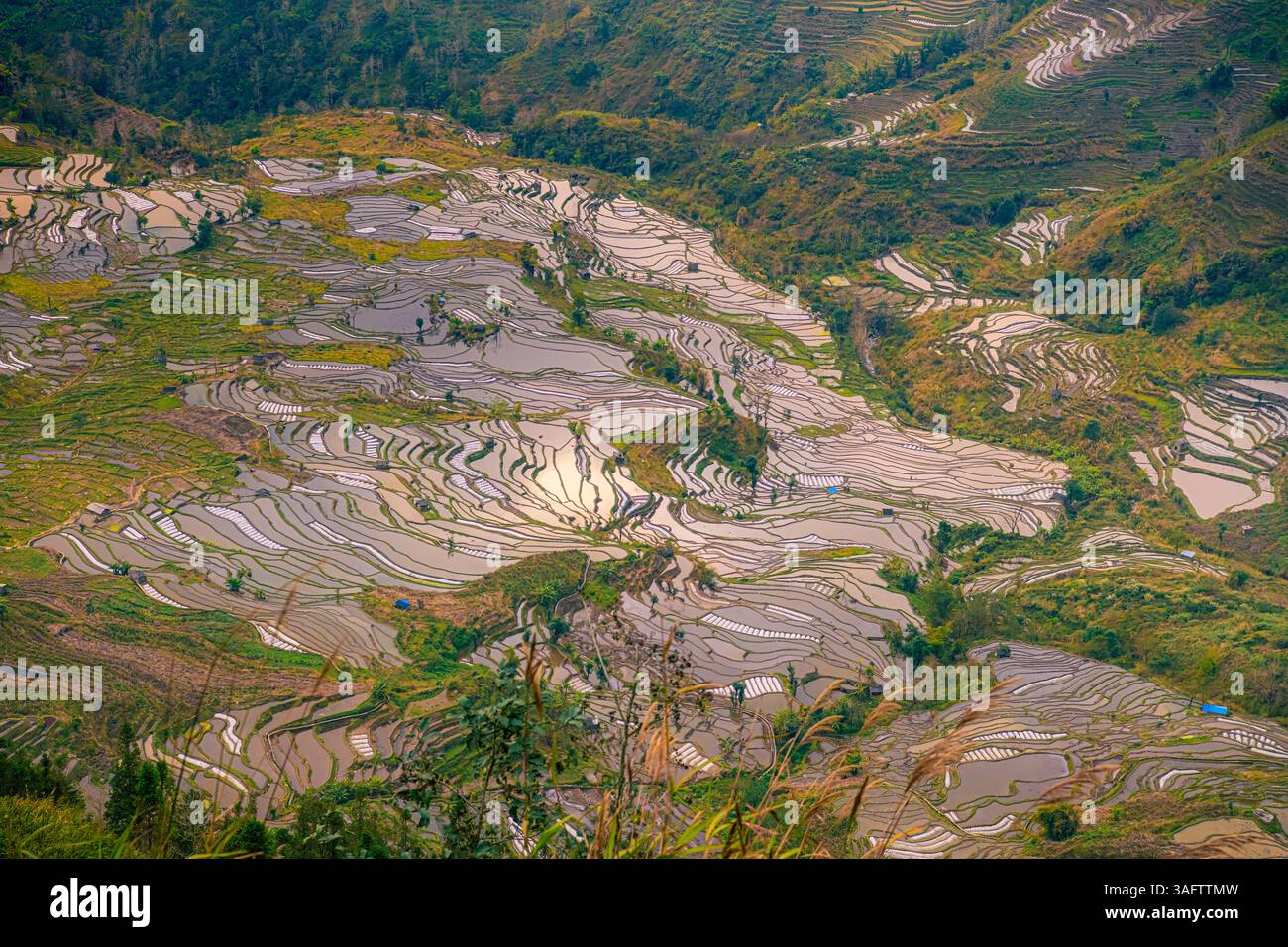 Yuanyang rice terrace from Laohuzui (the Tiger Mouth) in Yunnan ...