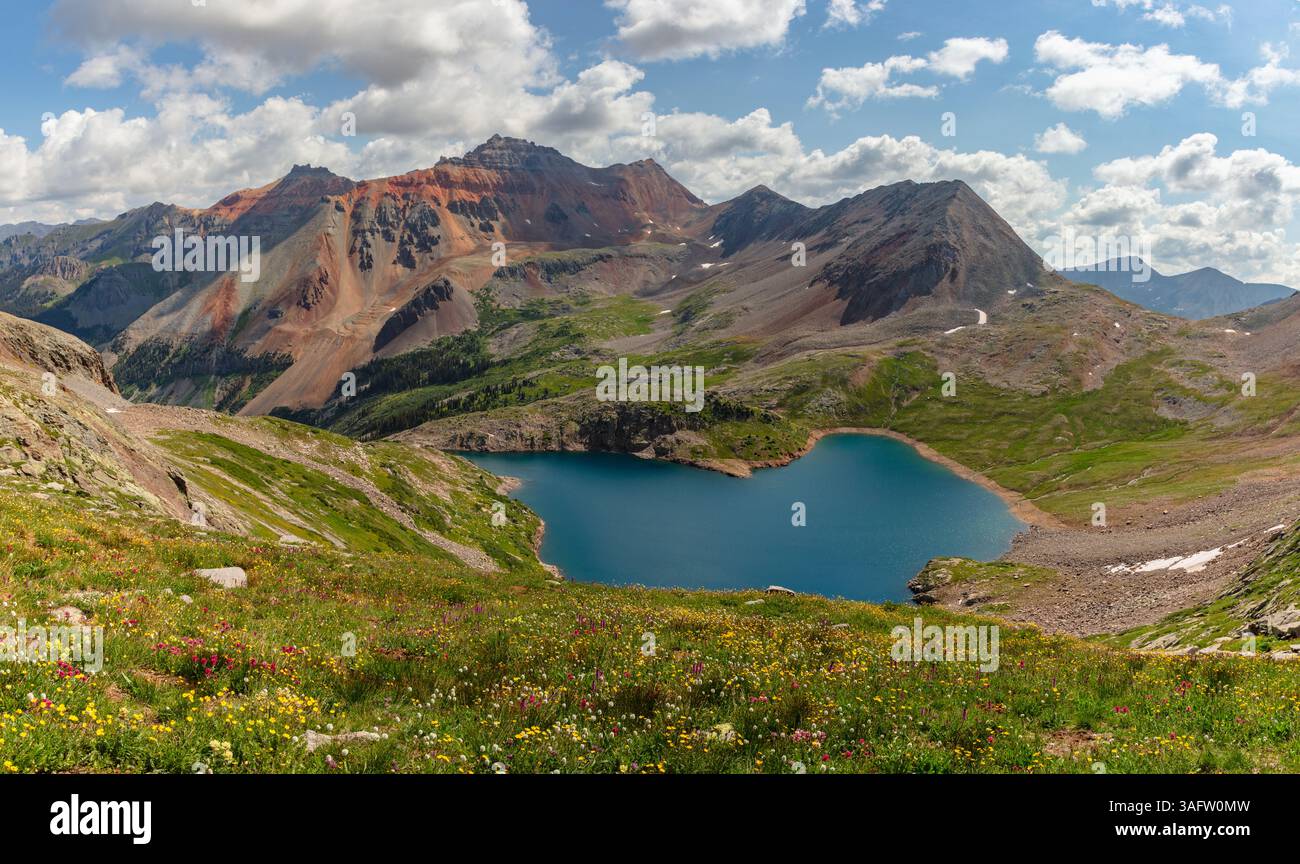 Summer wildflowers blanket the hillside above Lake Hope. Towering ...