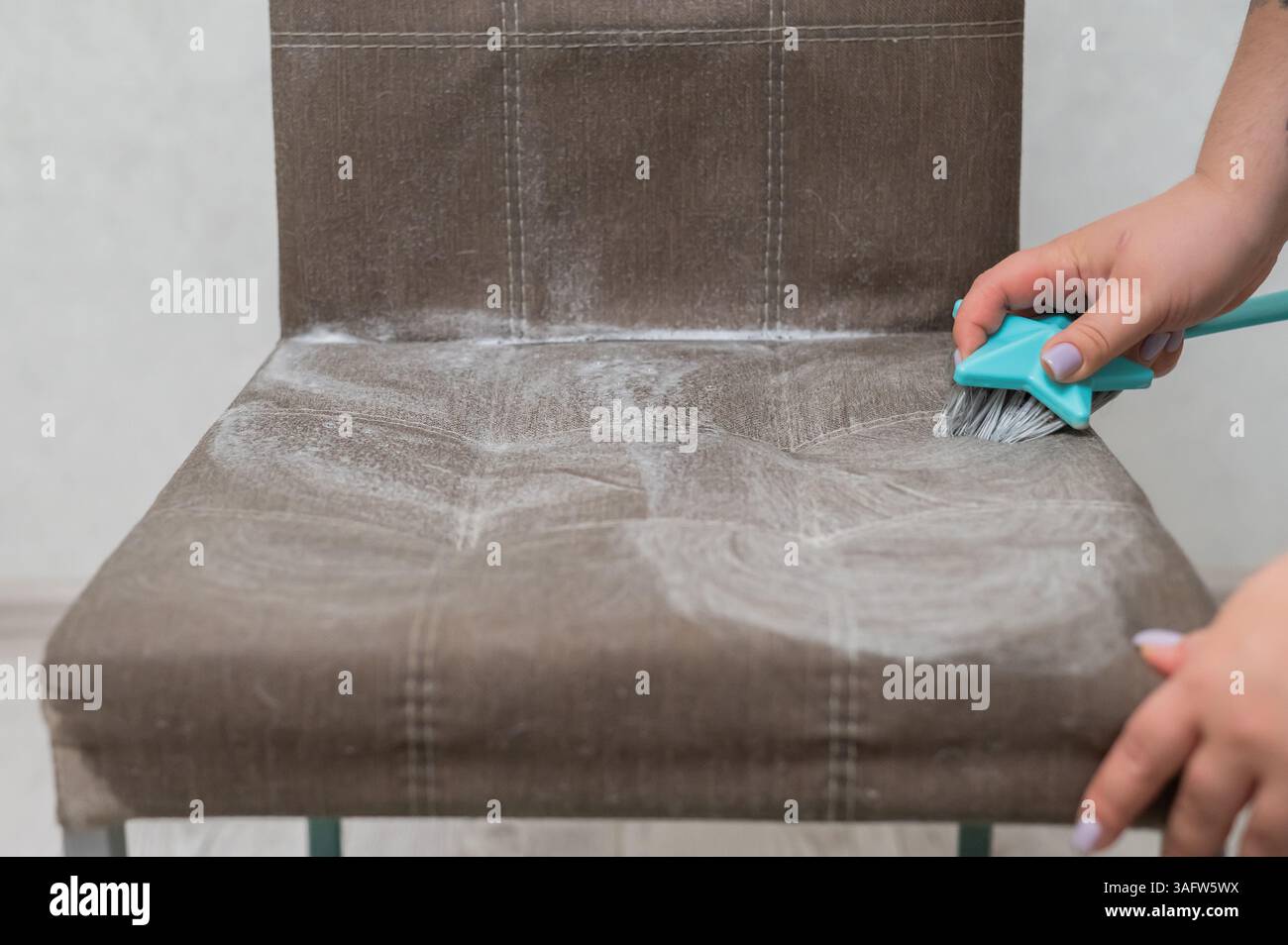 Woman cleaning fabric chair hi-res stock photography and images - Alamy