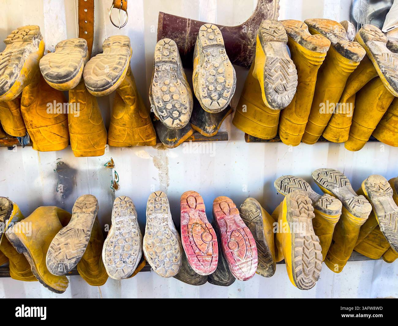 Worker boots, safety boots, laborer boots, miner boots, yellow ...