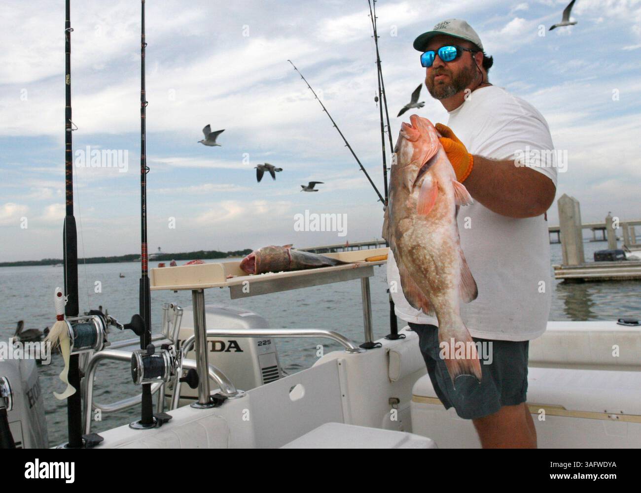 Fort DeSoto Park, FL (photo taken 11/11/2006)..CAPTION: Randy Rochelle ...