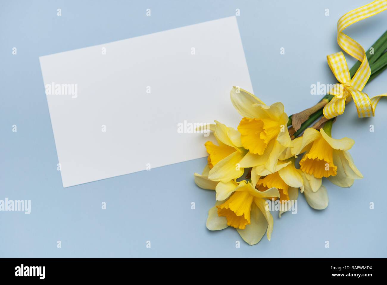 Fresh yellow daffodils bouquet and blank greeting card are lying on ...