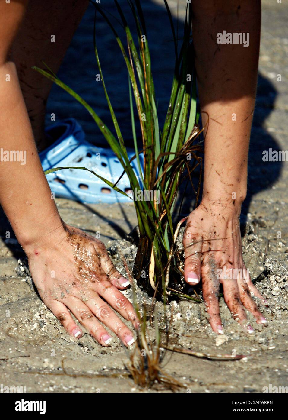 PHOTO # 1 ]..04 21 2007 - APOLLO BEACH - With her nails freshly ...