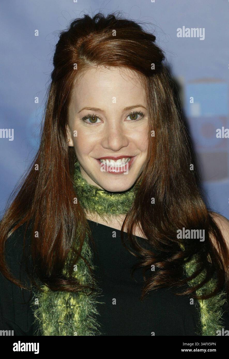 Jan 15, 2004; Hollywood, CA, USA; Actress AMY DAVIDSON at the 'ABC ...