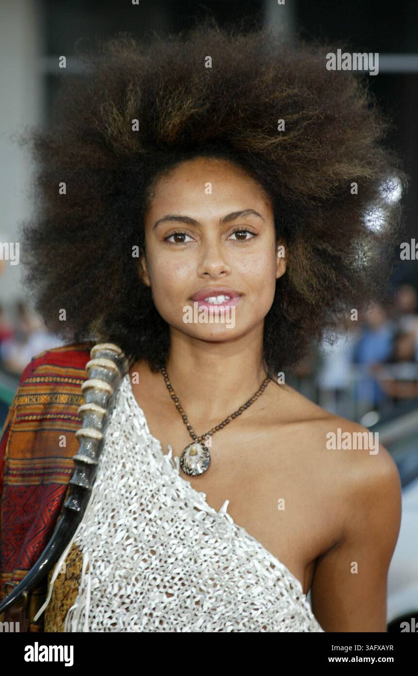 Jul 27, 2004; Hollywood, CA, USA; Actor SHAKARA LEDARD at the 'Harold ...