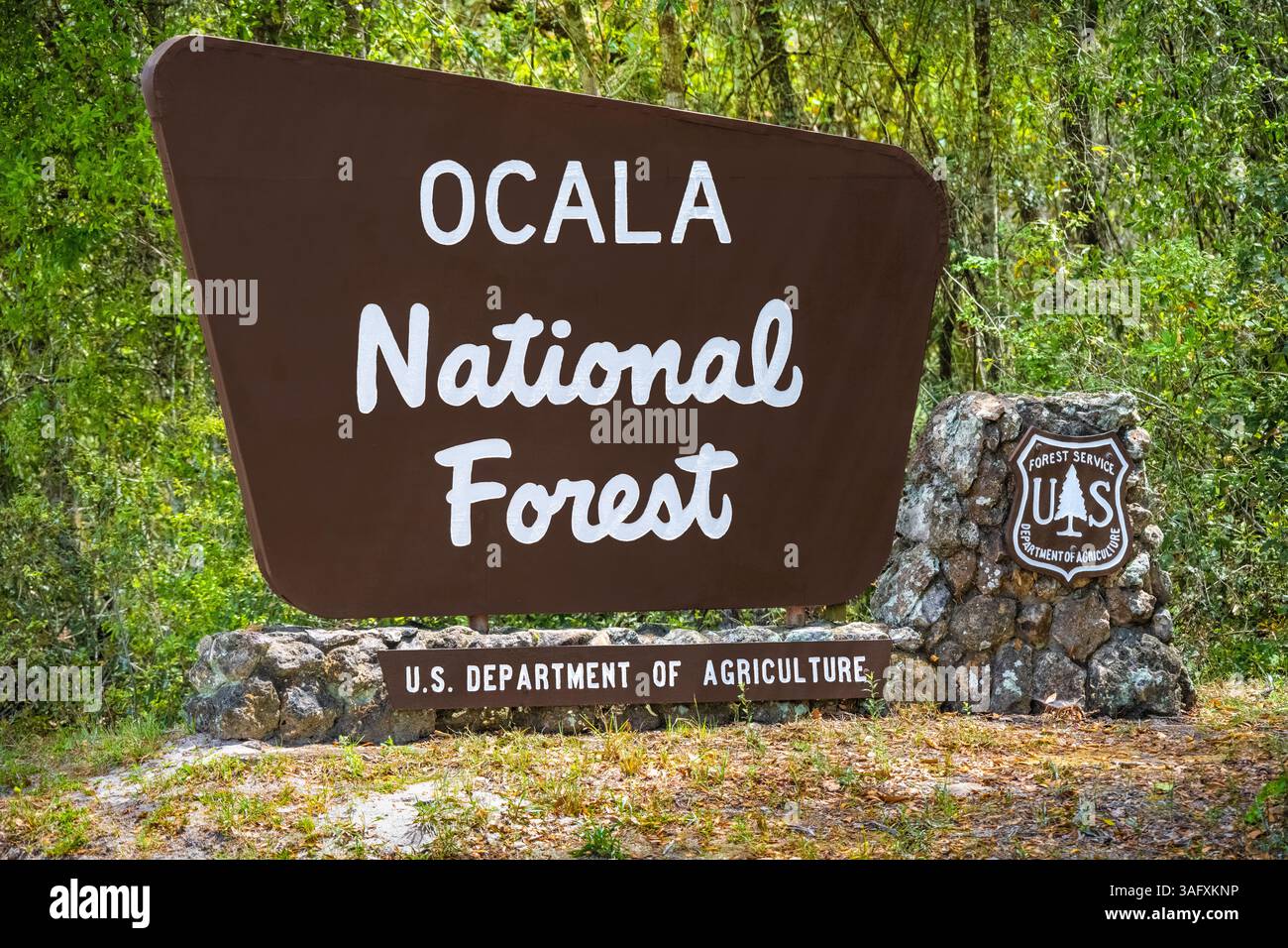 Ocala National Forest sign in North Central Florida. (USA Stock Photo ...