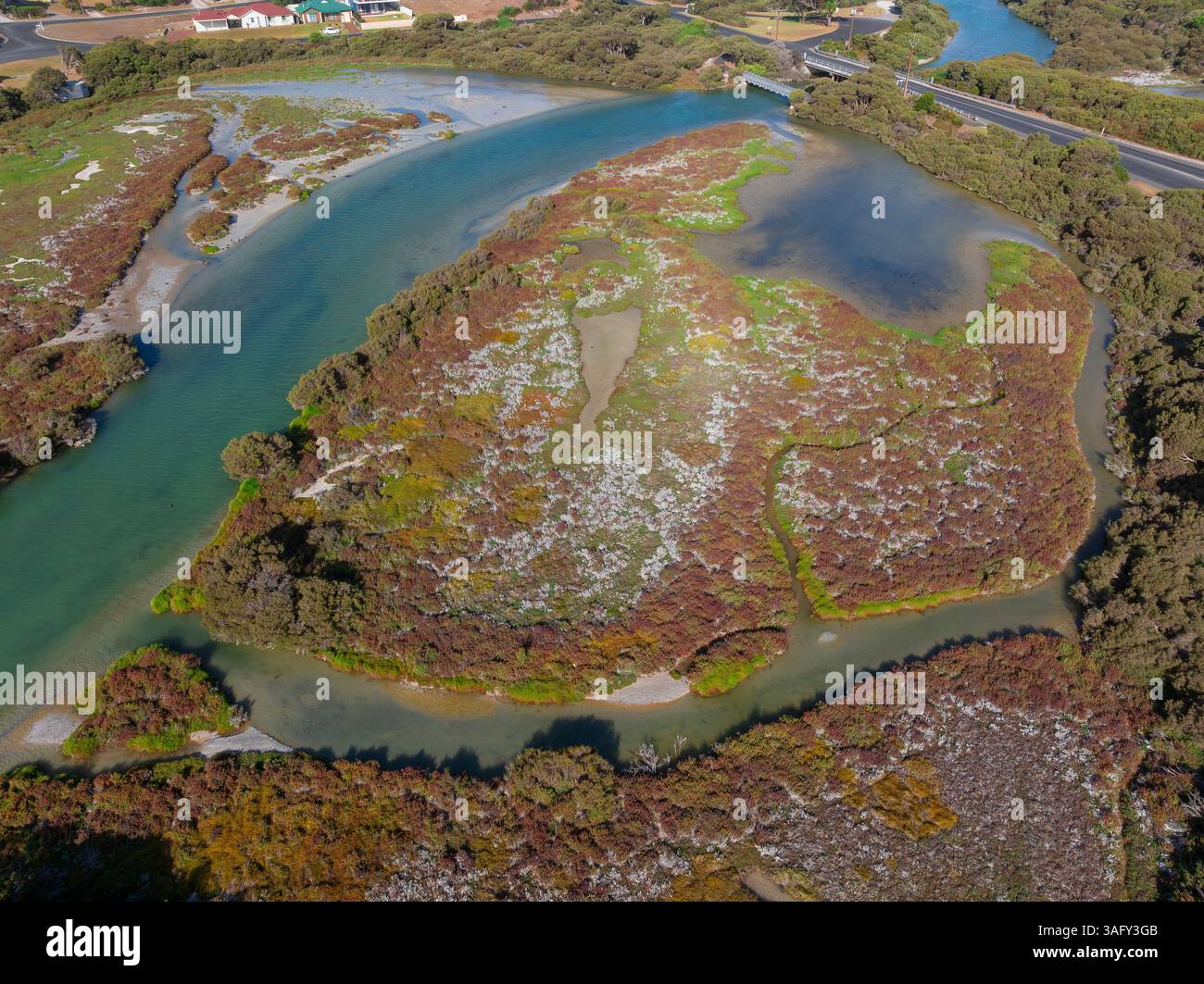 Aerial view of a blue stream flowing through wetlands vegetation at ...