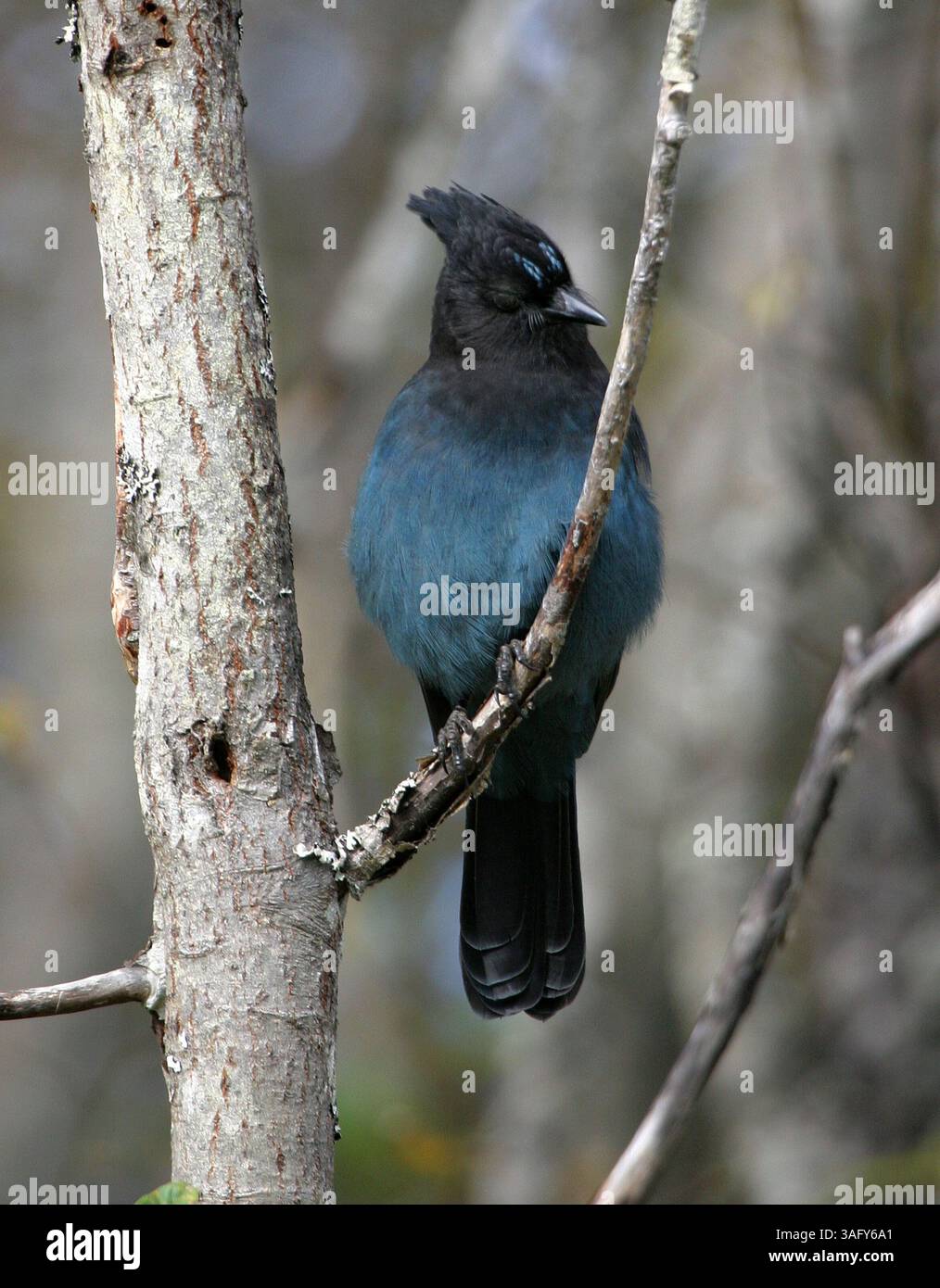 Cassier hwy hi-res stock photography and images - Alamy