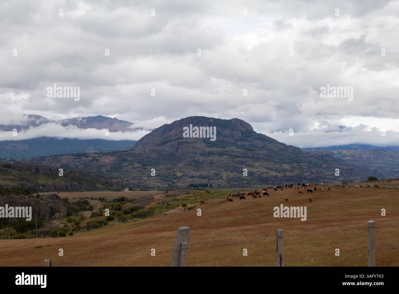Landscape in Patagonia Chile Stock Photo - Alamy