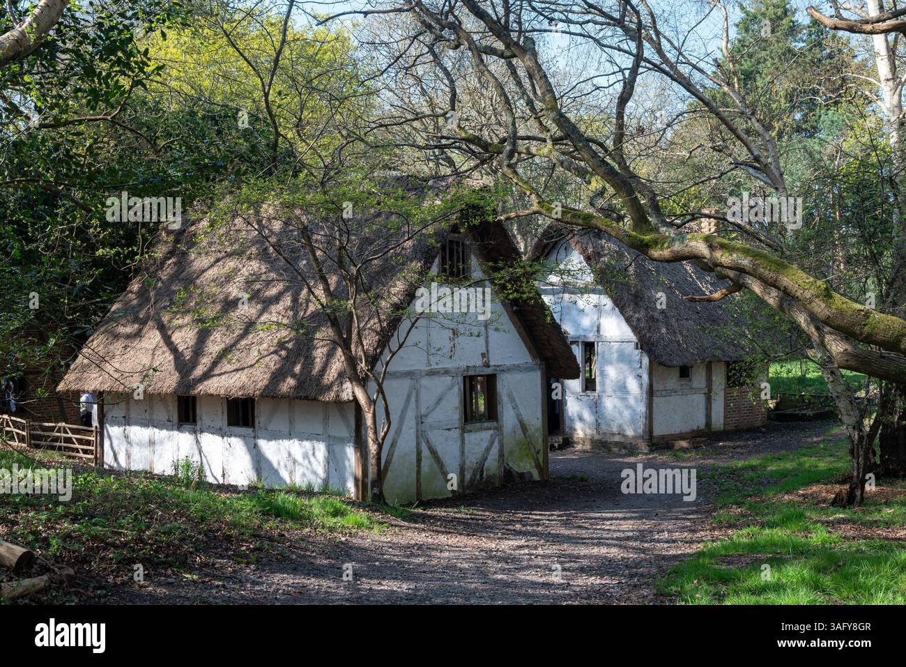 17th century buildings inside Little Woodham Living History Village ...