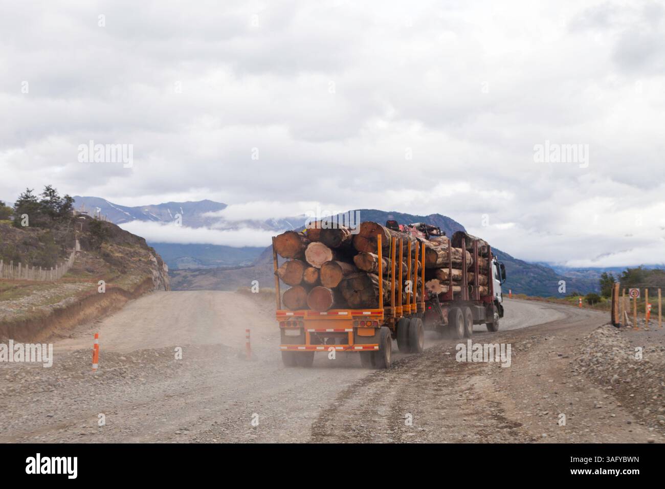 Crane to grab cut logs hi-res stock photography and images - Alamy