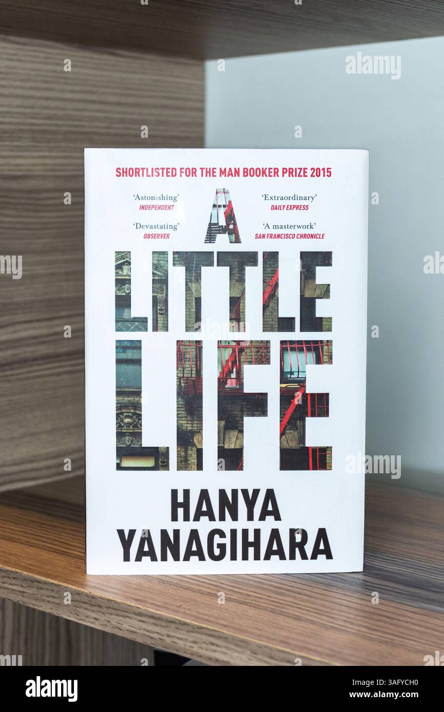 Close-up of Hanya Yanagihara's A Little Life novel on the shelf in the ...