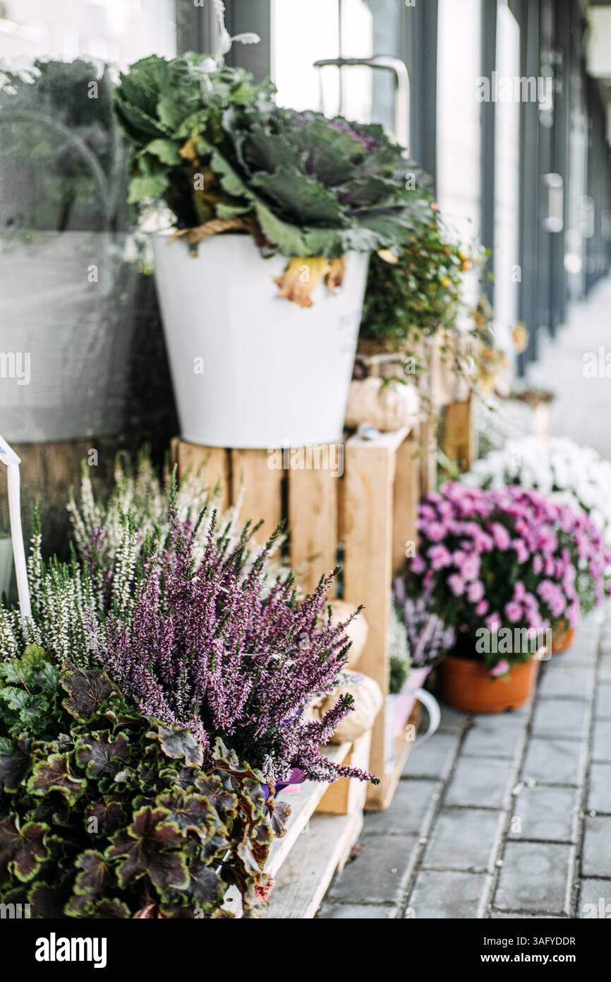 Sidewalk display of potted flowers and leafy arrangements outside a ...