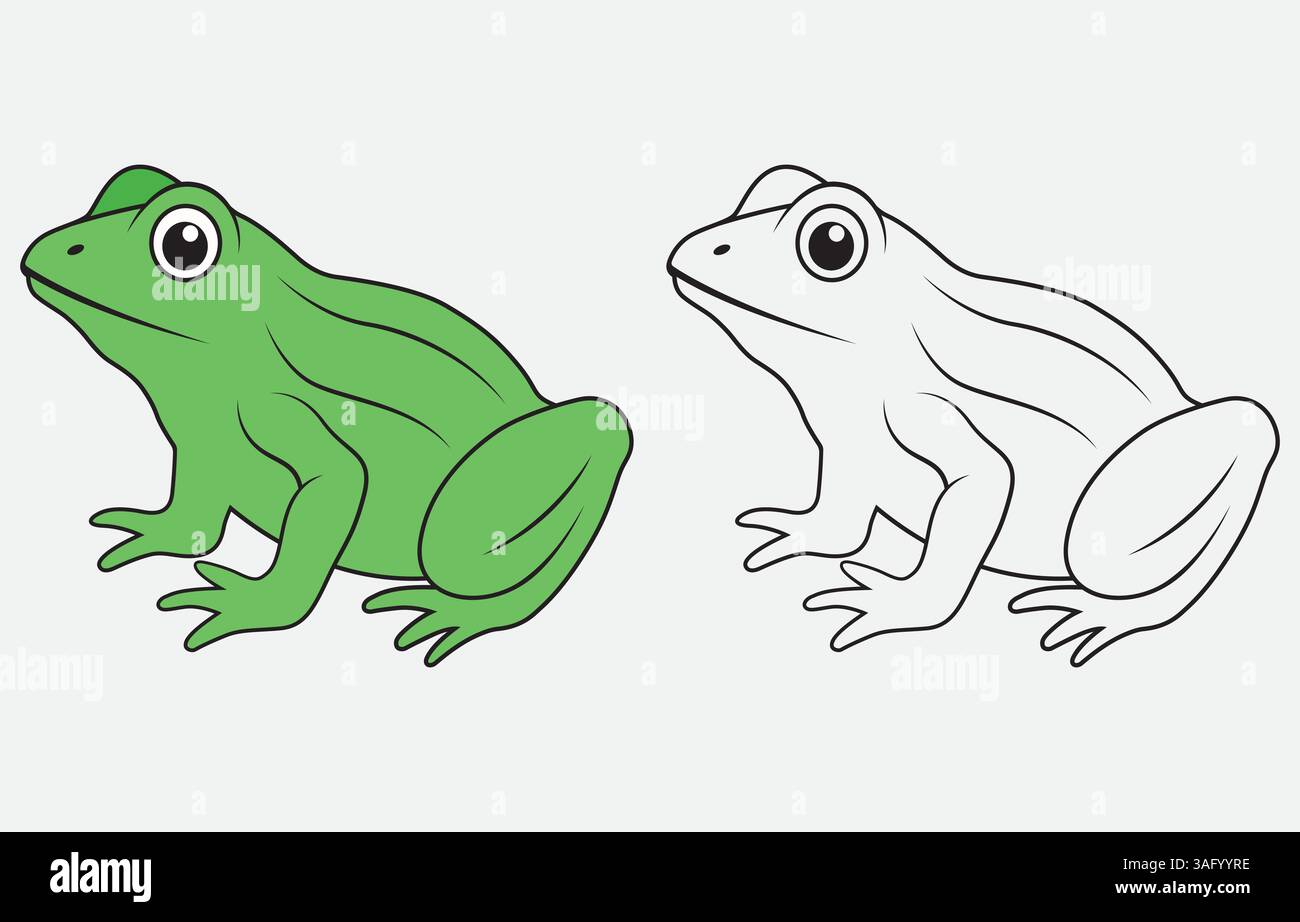 Colorful frog vector art Illustration Isolated on white background ...