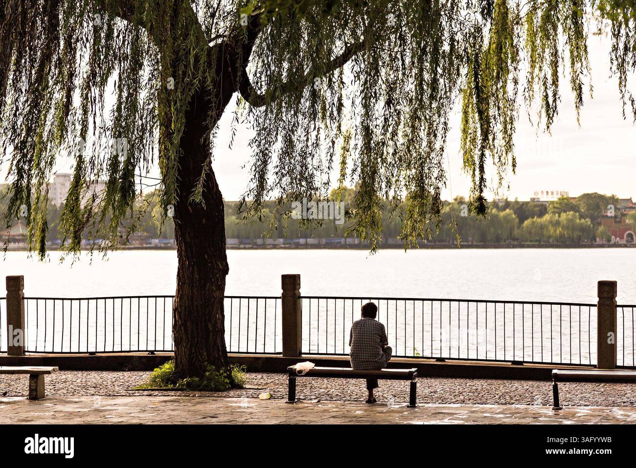 July 30, 2012 - Beijing, China - A woman relaxes under the shade of a ...