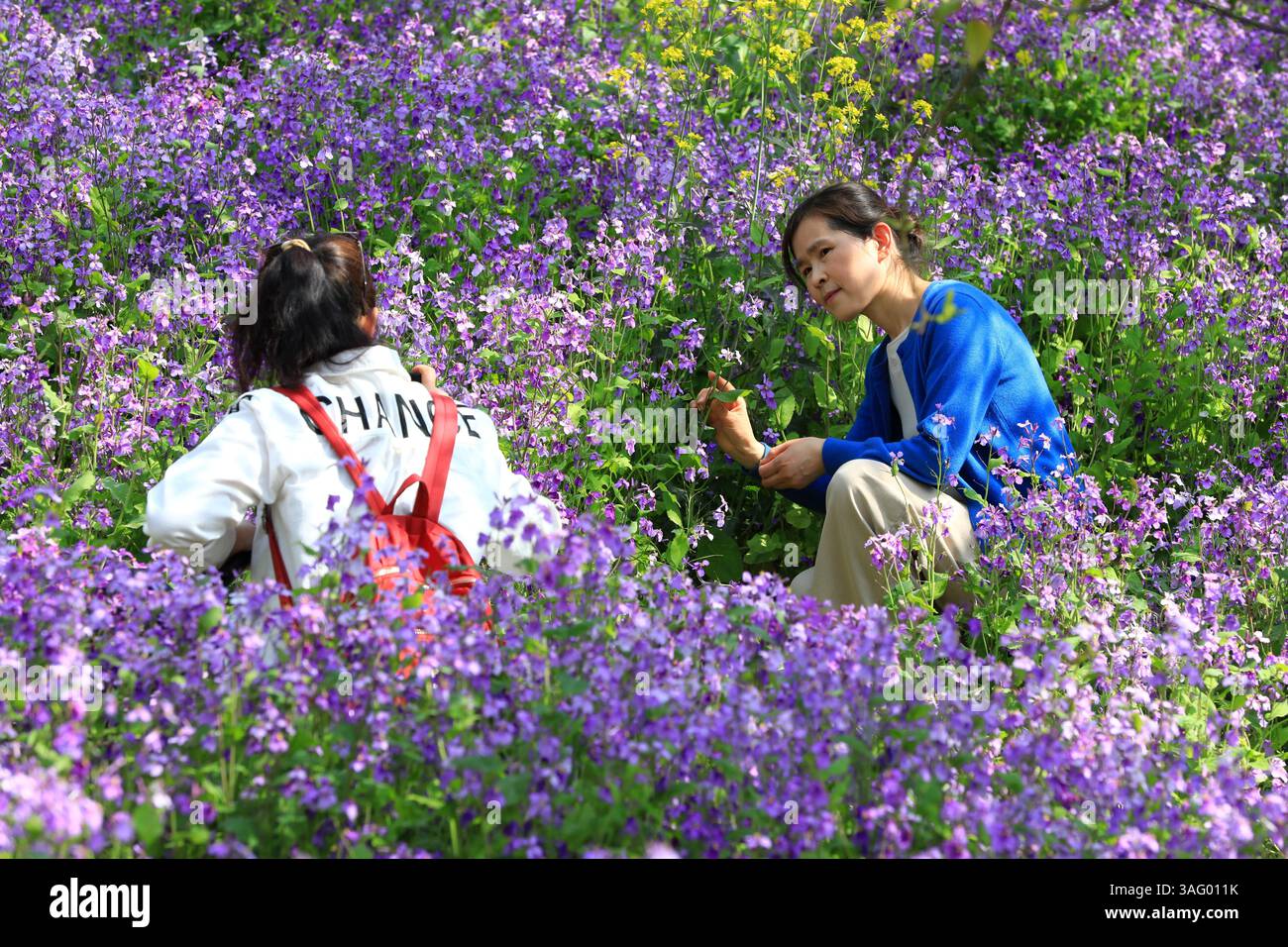 Spring flowers attract tourists in Huai'an City, east China's Jiangsu ...