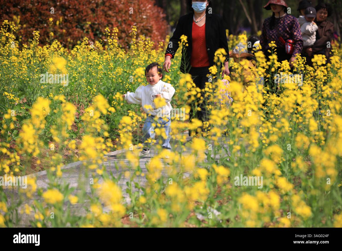 Spring flowers attract tourists in Huai'an City, east China's Jiangsu ...