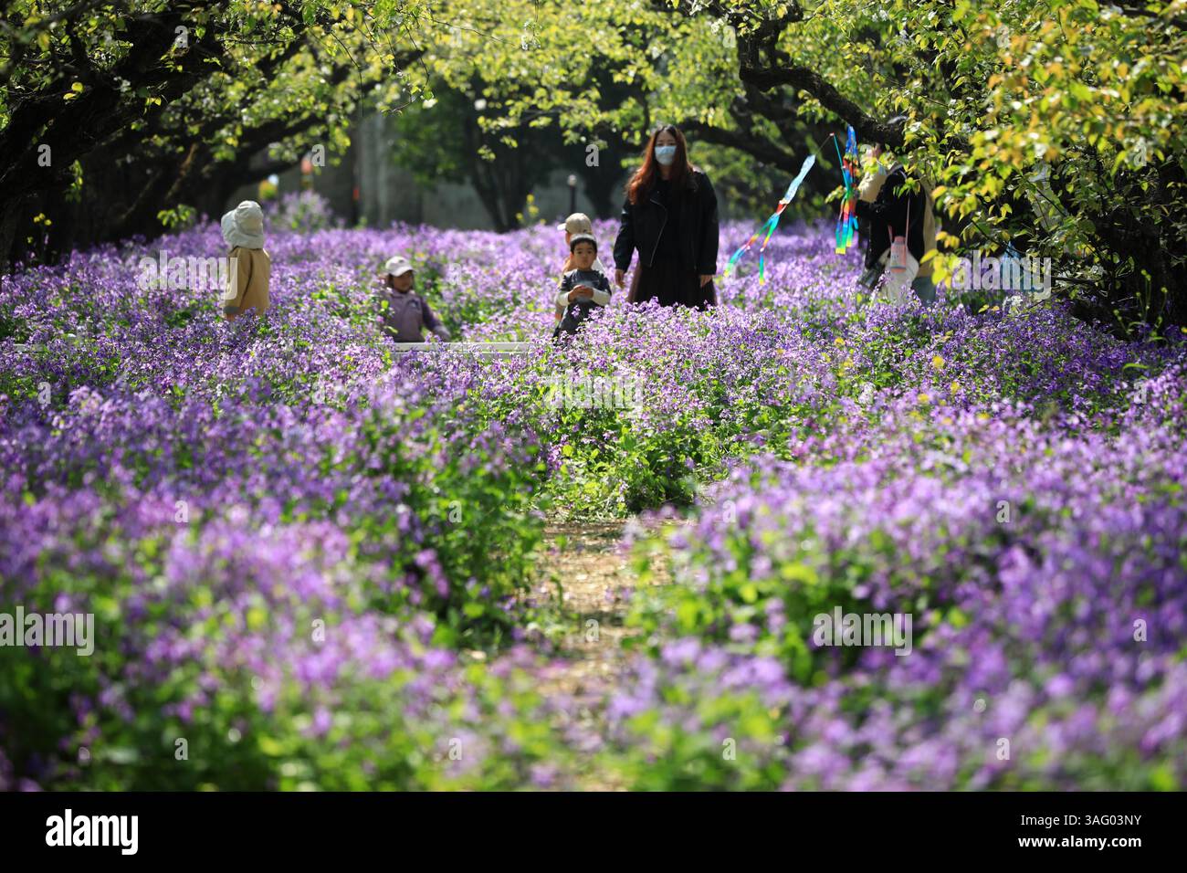 Spring flowers attract tourists in Huai'an City, east China's Jiangsu ...