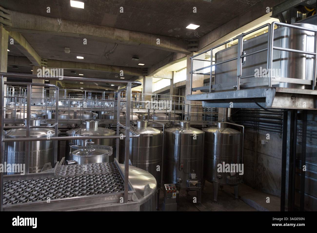 Inside a Chilean wine distillery, showcasing stainless steel tanks and ...