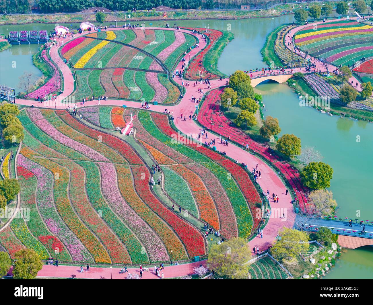 Aerial photo shows blooming flowers in Yancheng City, east China's ...