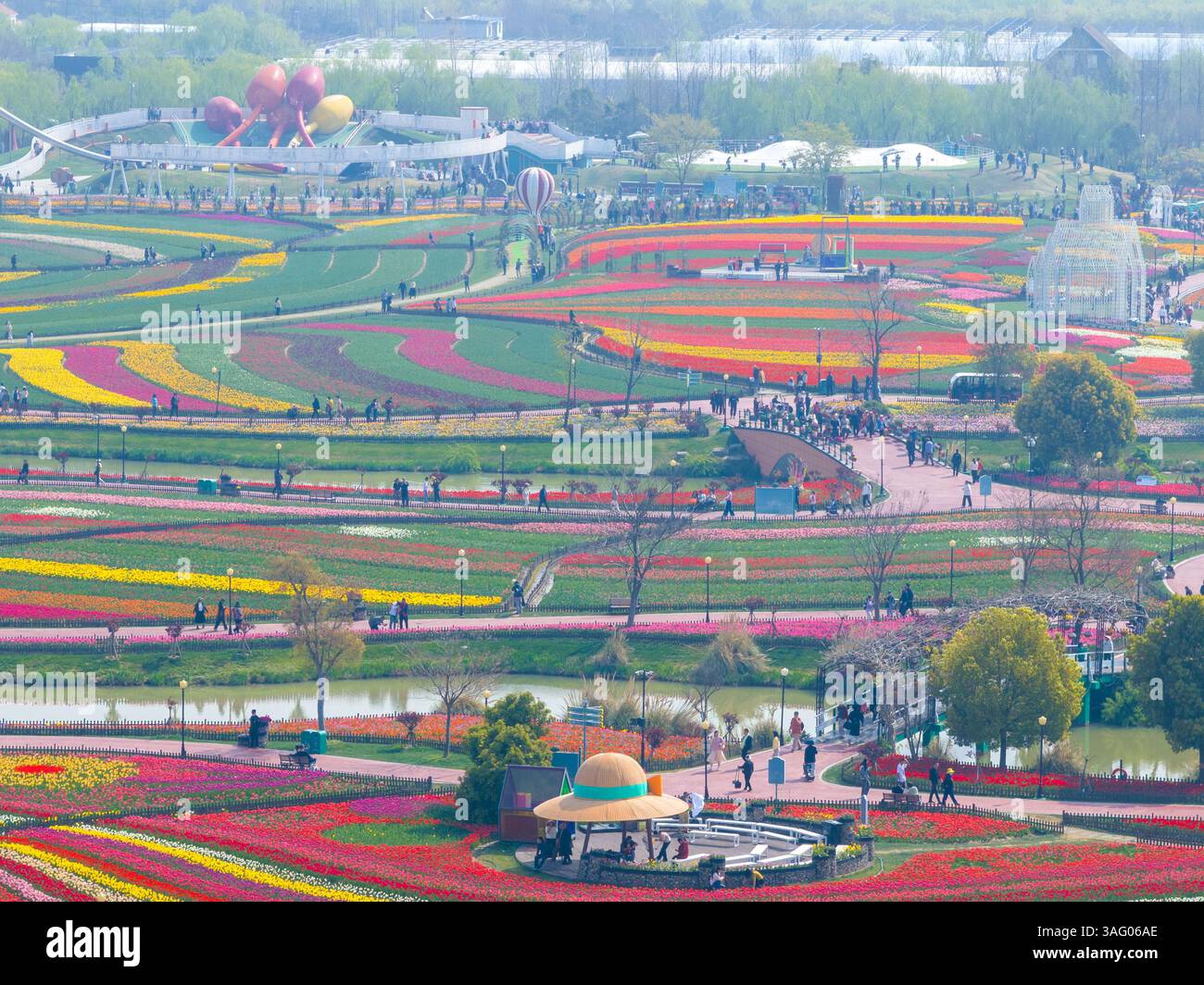 Aerial photo shows blooming flowers in Yancheng City, east China's ...