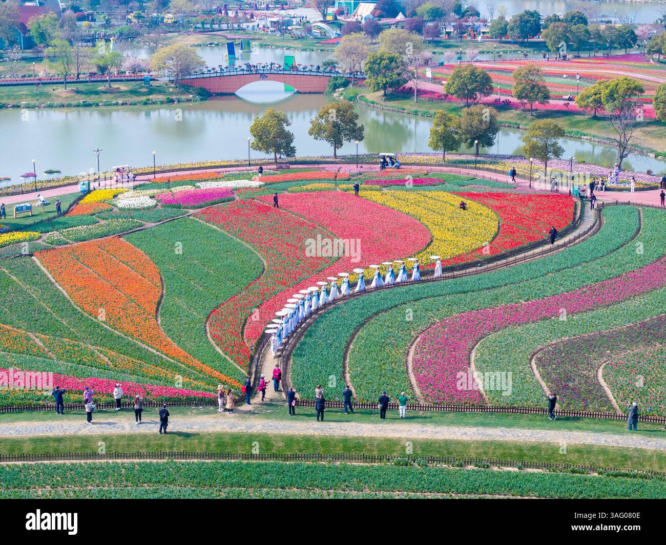 Aerial photo shows blooming flowers in Yancheng City, east China's ...