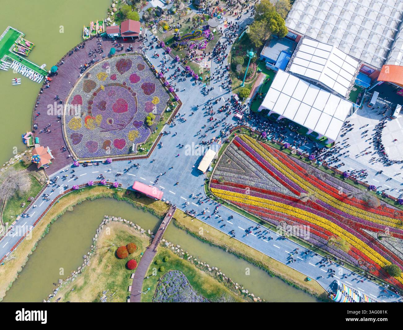 Aerial photo shows blooming flowers in Yancheng City, east China's ...