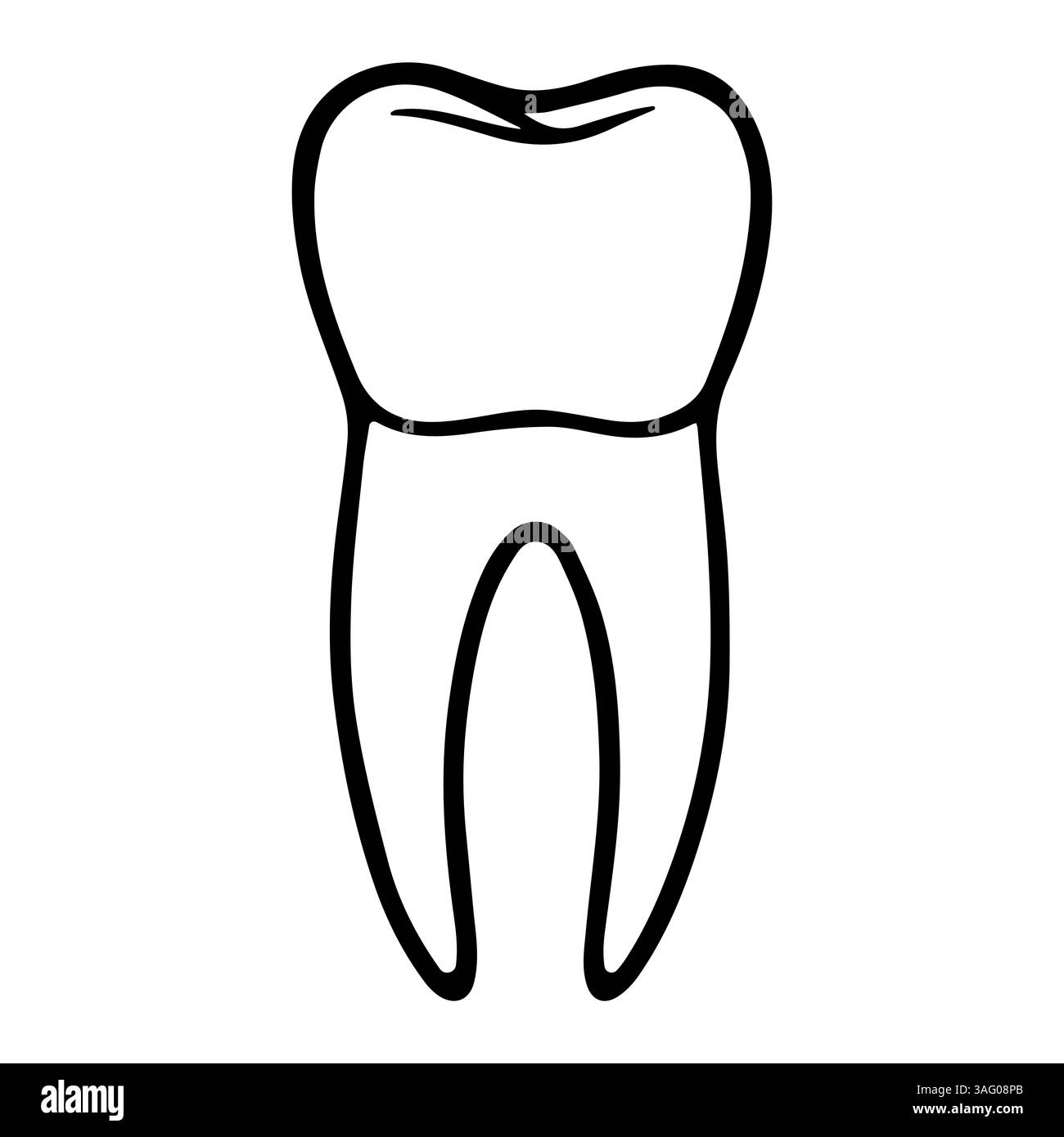 Healthy Molar Tooth Outline Dental Care and Hygiene Illustration Stock ...
