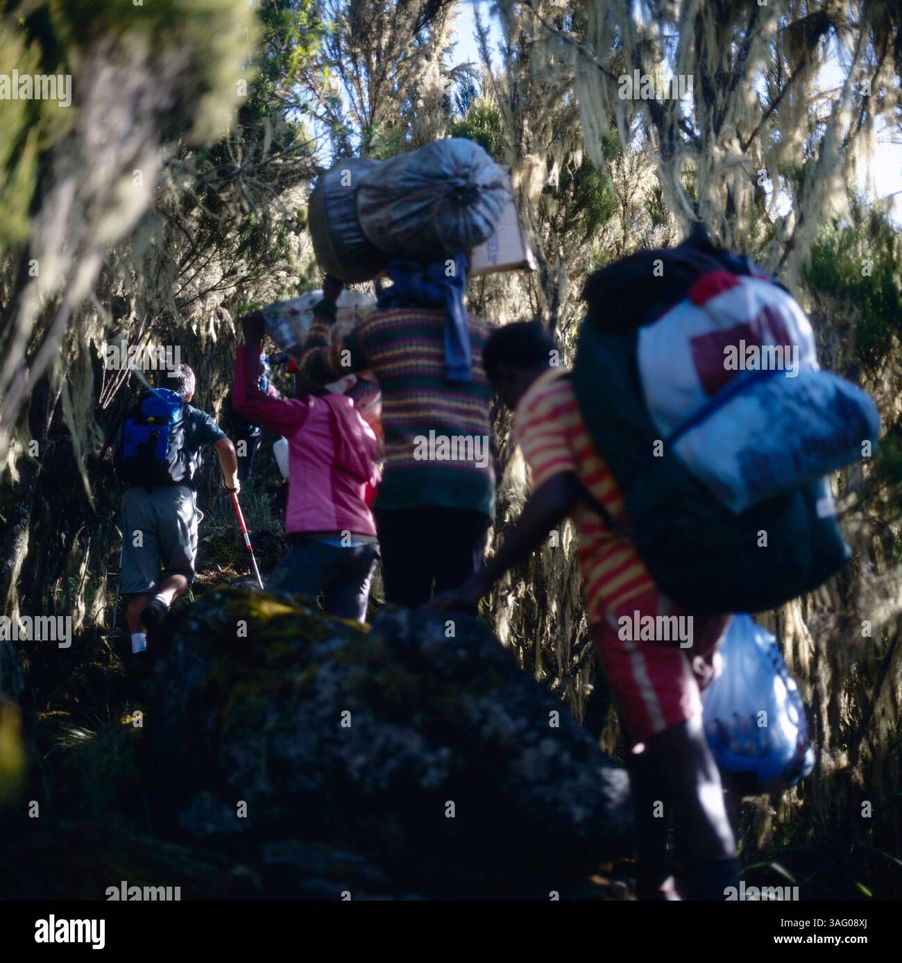 Gruppe von menschen wandern hi-res stock photography and images - Alamy