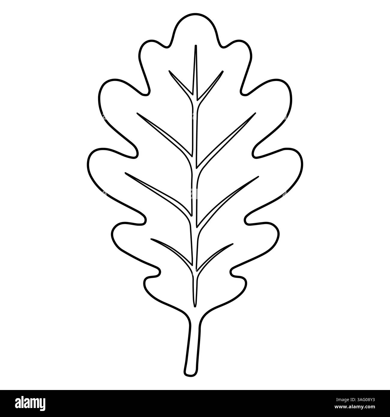 Intricate beauty of plant Stock Vector Images - Alamy