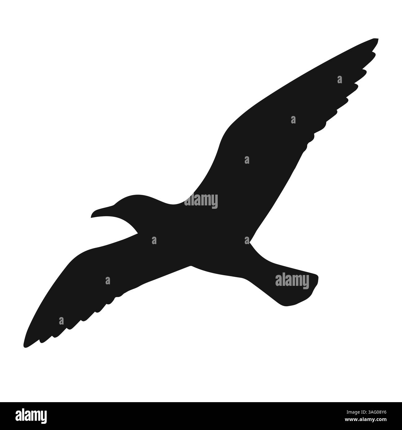 Soaring Freedom Silhouette Gull Bird in Flight Stock Vector Image & Art ...