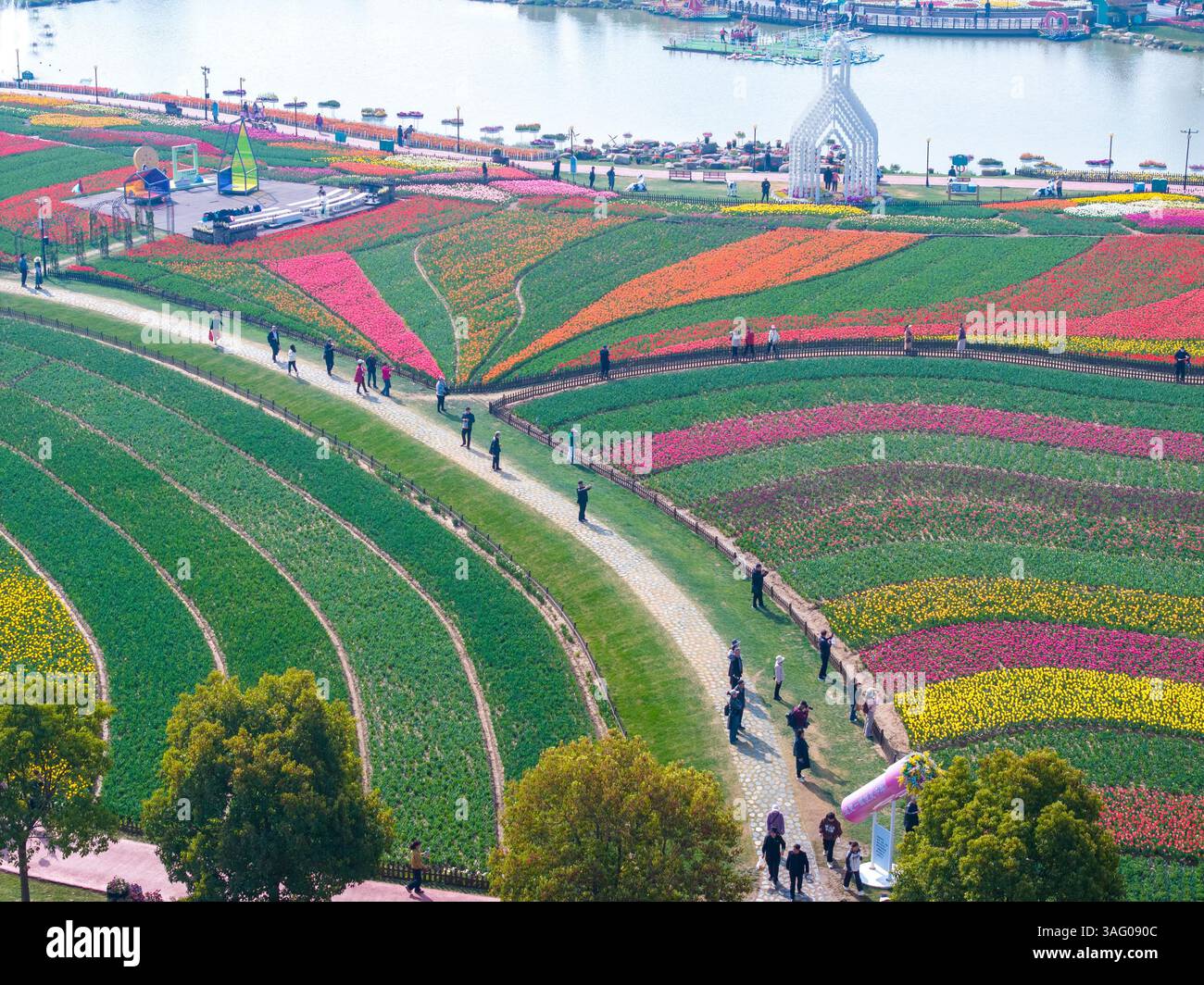 Aerial photo shows blooming flowers in Yancheng City, east China's ...