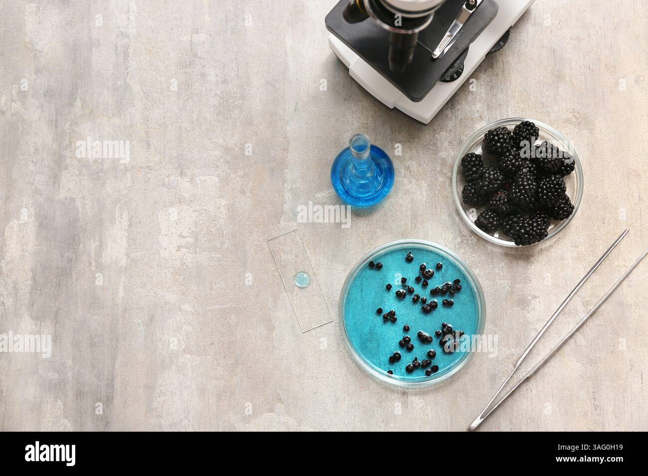 Professional laboratory glassware with blackberries, samples and ...