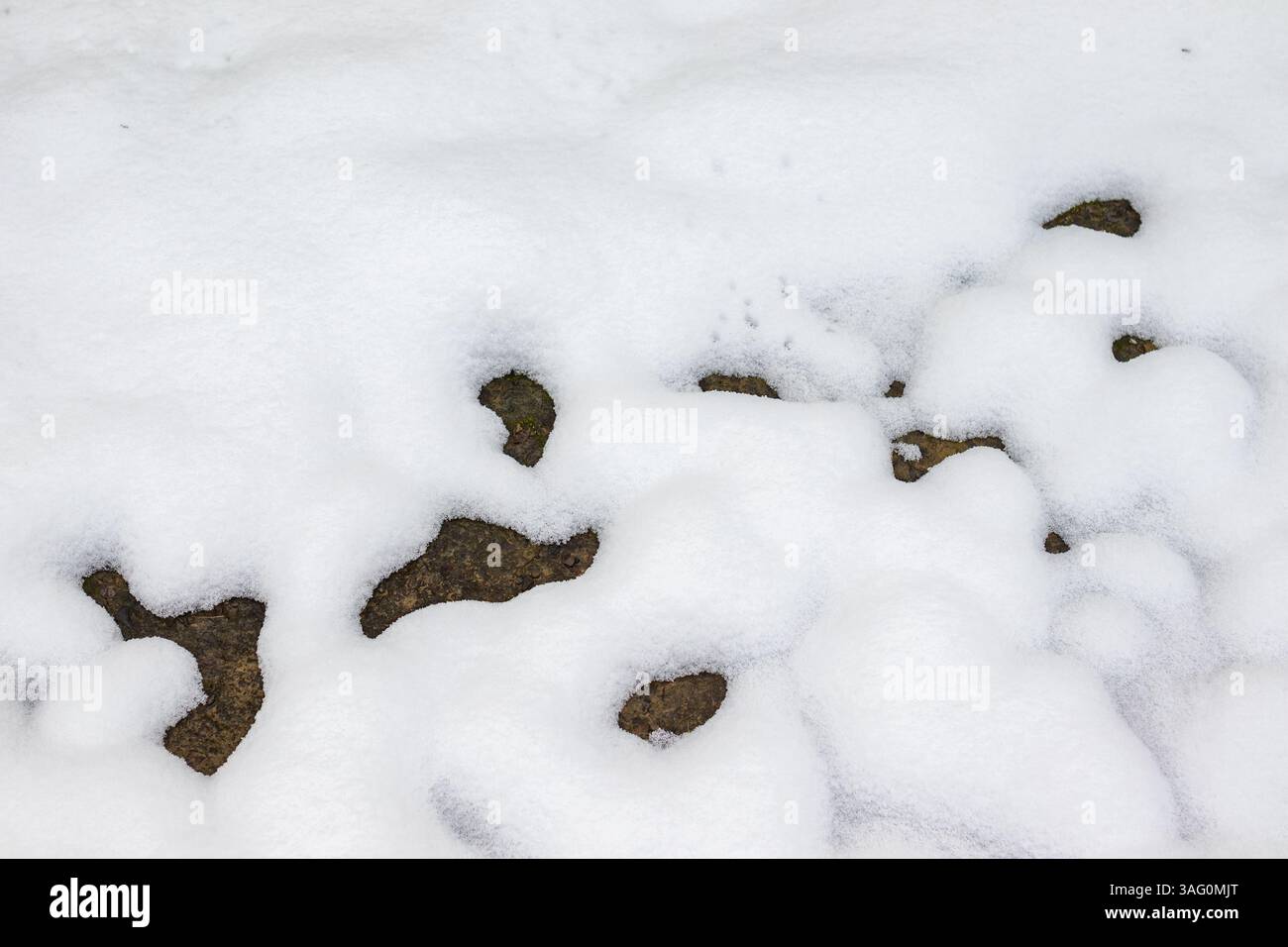 Snow covered soil visible hi-res stock photography and images - Alamy