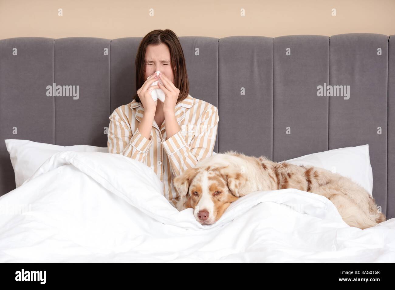 Dog and young woman with allergy to fur in bedroom Stock Photo - Alamy