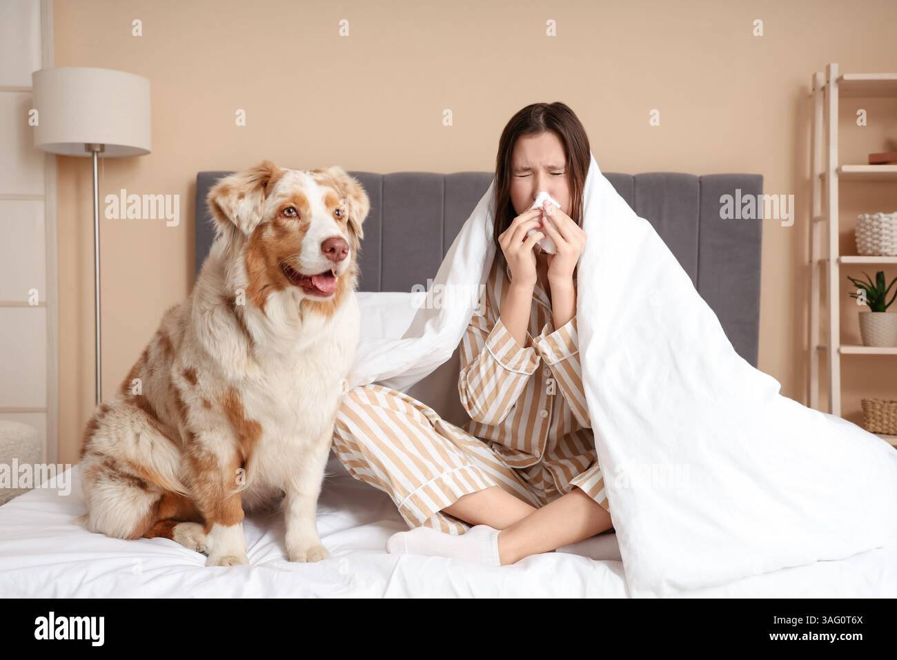 Dog and young woman with allergy to fur in bedroom Stock Photo - Alamy