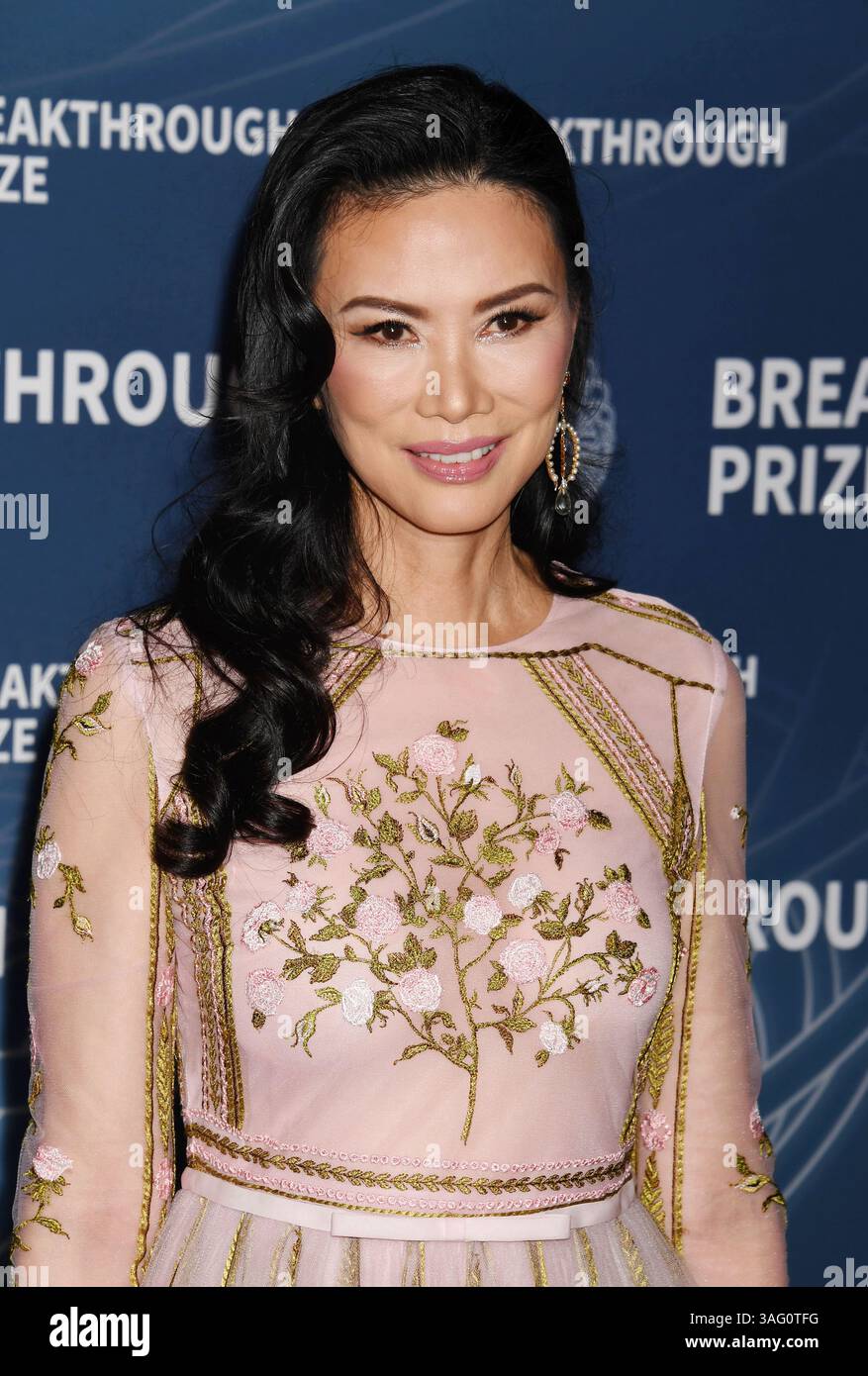 SANTA MONICA, CALIFORNIA - APRIL 05: Wendi Murdoch attends the 11th ...