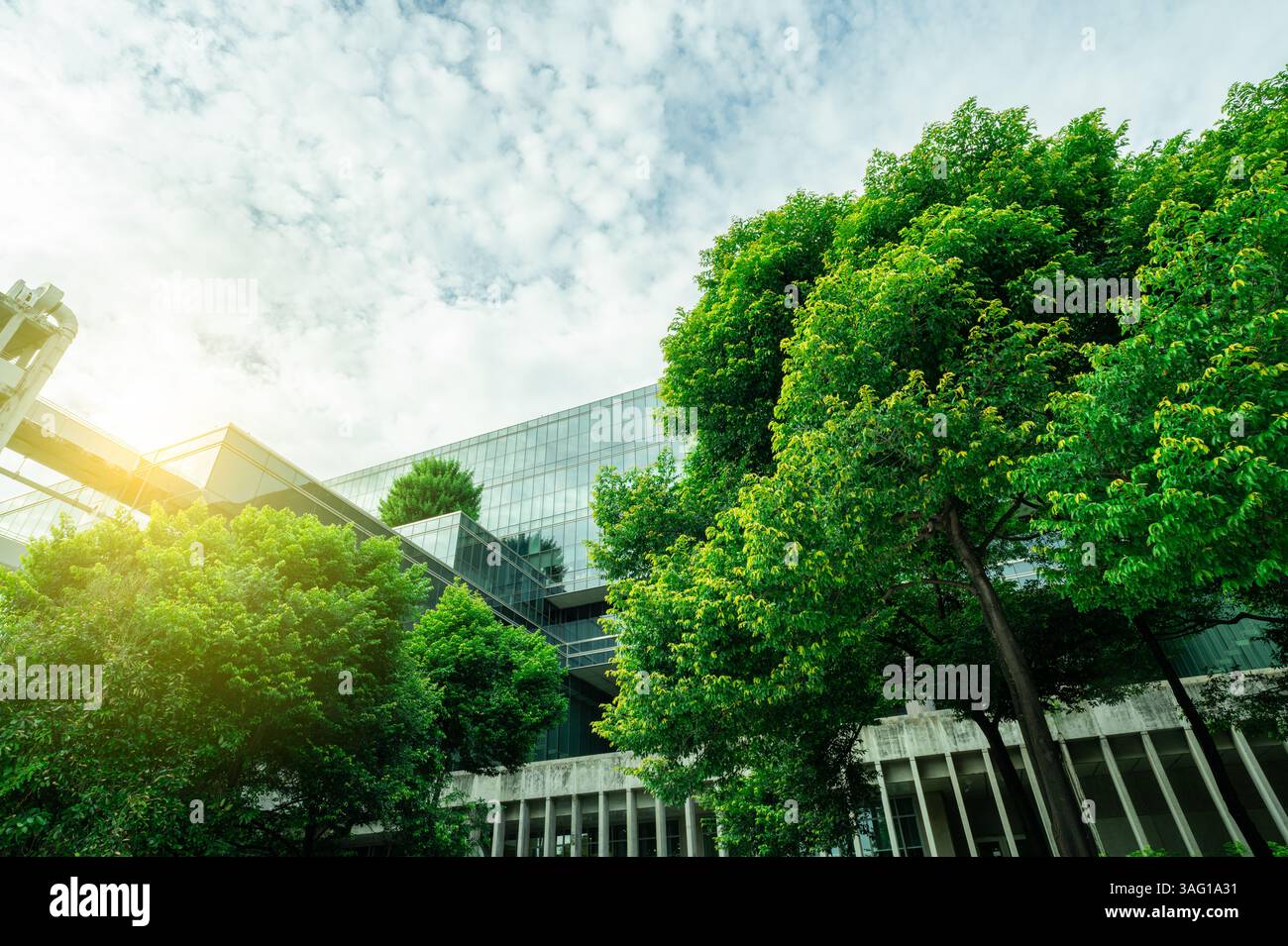 Sustainable green building. Eco-friendly building. Sustainable glass ...