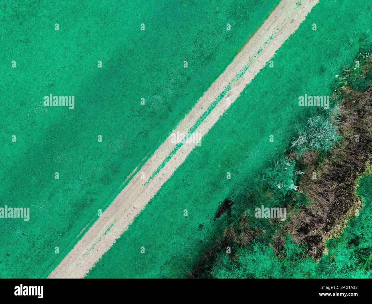 Aerial view of a minimal eco-friendly landscape on Earth Day Stock ...