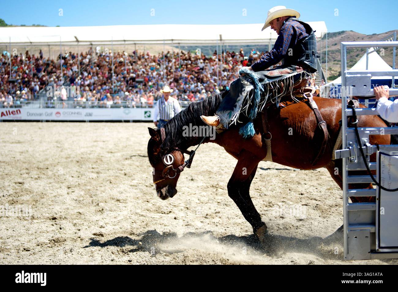 Rascal rodeo hi-res stock photography and images - Alamy