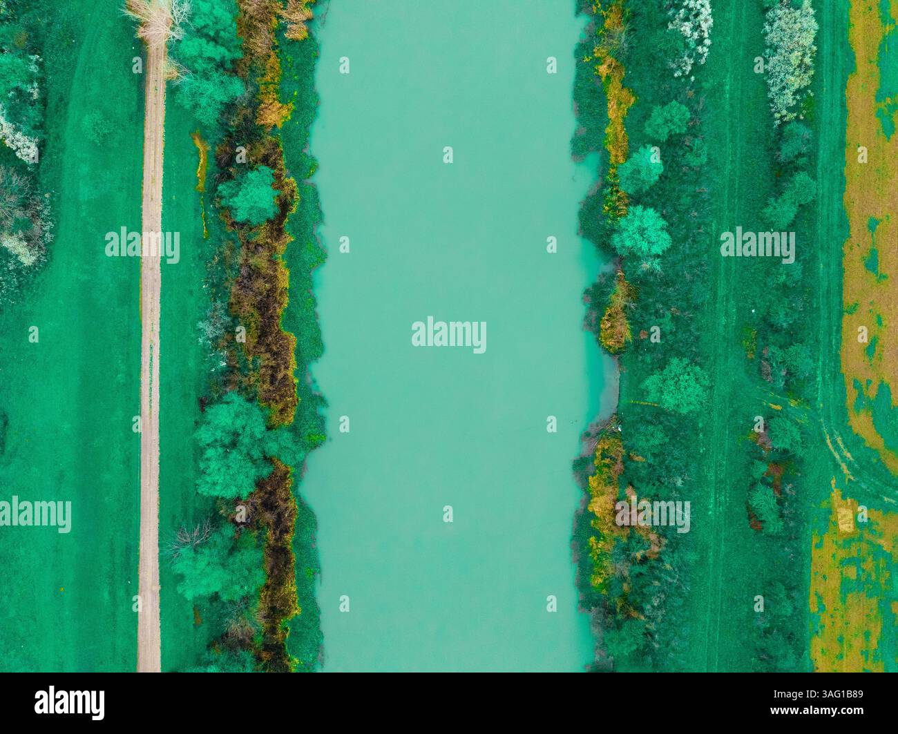 Creative environmental concept with a high-angle perspective .Earth Day ...